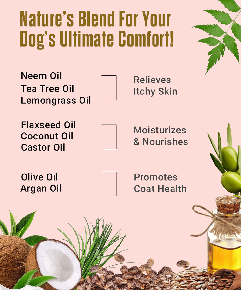 Anti Itch Oil for Dogs and Cats – Wags and Tails